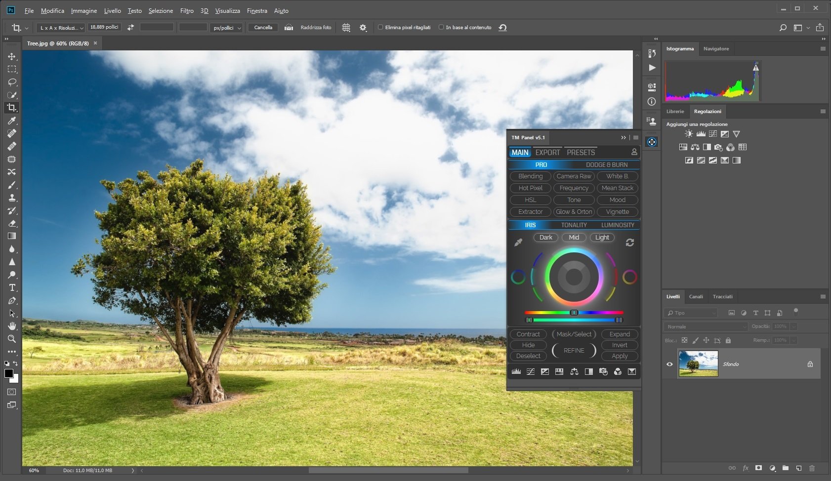 TM Panel: il plugin made in Italy che semplifica Photoshop